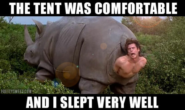 21 Hate Camping Memes Raccoons Spiders Bears Oh My